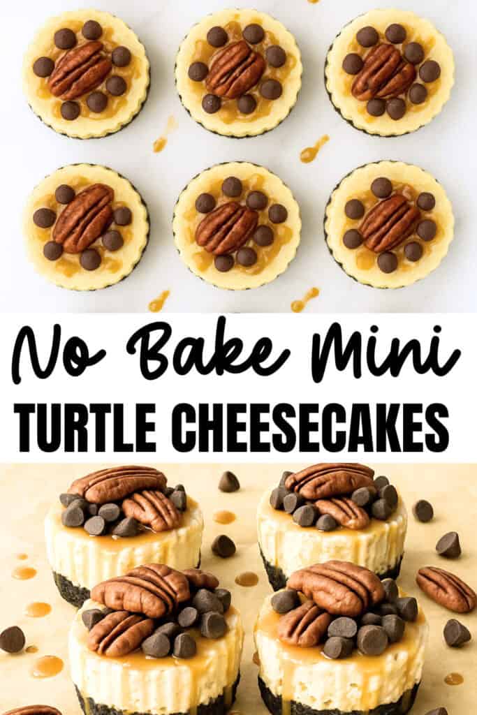 Tasty No Bake Mini Turtle Cheesecakes